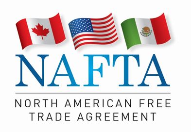 Qué es la nafta y en qué se diferencia de la gasolina